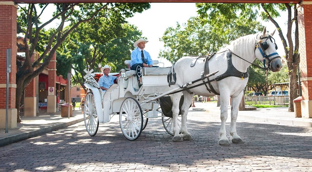 Special Event Carriage Rides Texas | Ft. Worth Stockyard Stables